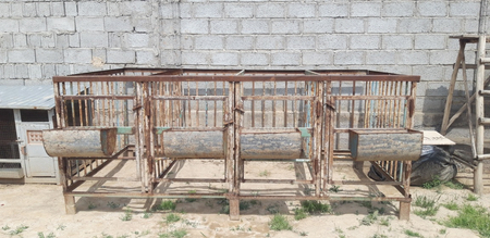 Qoyhona sotiladi