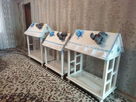 Sarpa qutilari Mebel