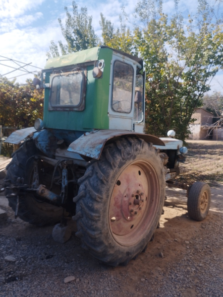 T28 holati alo narhini keliwamiz