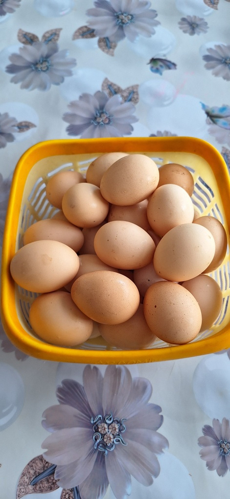 Куриные домашние яйца.