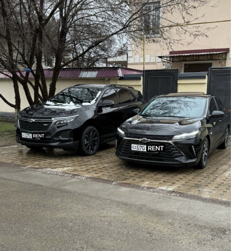 Rent car uz toshken uzb 24/7 suxoy arenda