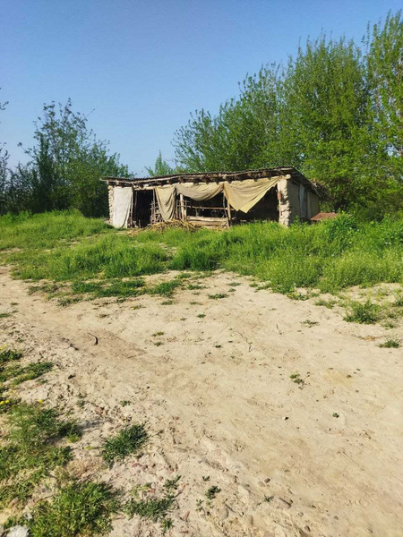 Уй сотилади 5 гектар Бука тумани Бука МФЙ