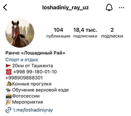 Таер бизнес сотилади!
От хона Продается готовый бизнес!
Конюшня