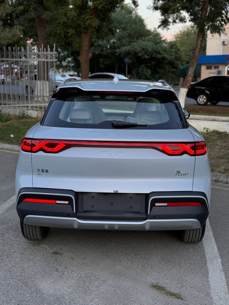 BYD yuan up dopopsiya full