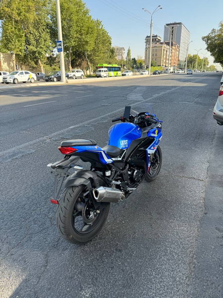 Kawasaki zx 10R replica