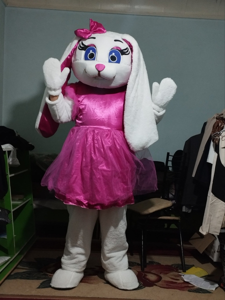 аниматоры костюм