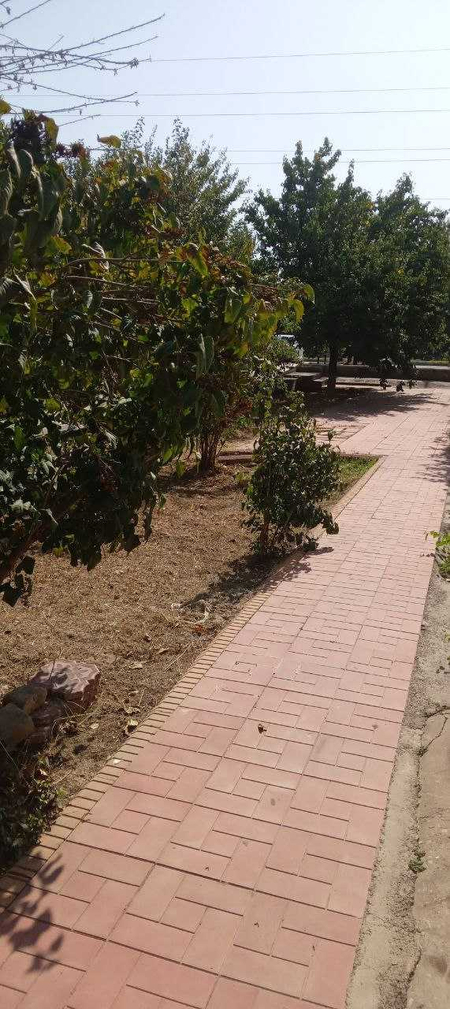 yunus abad 19 kv