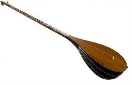 Dutor cholg'usini o'rganish