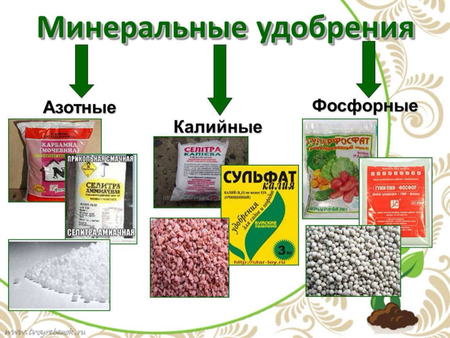 Минерал угитлар ОПТОМ нархларда