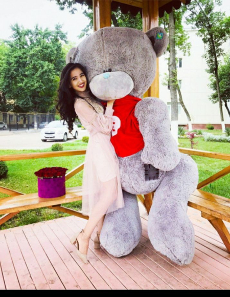 Teddy va boshqa yumshoq oʻyinchoqlar