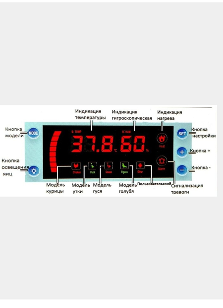Инкубатор 36 талик. Автомат 220/12волт