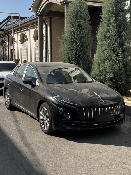 hongqi e-qm5 2024