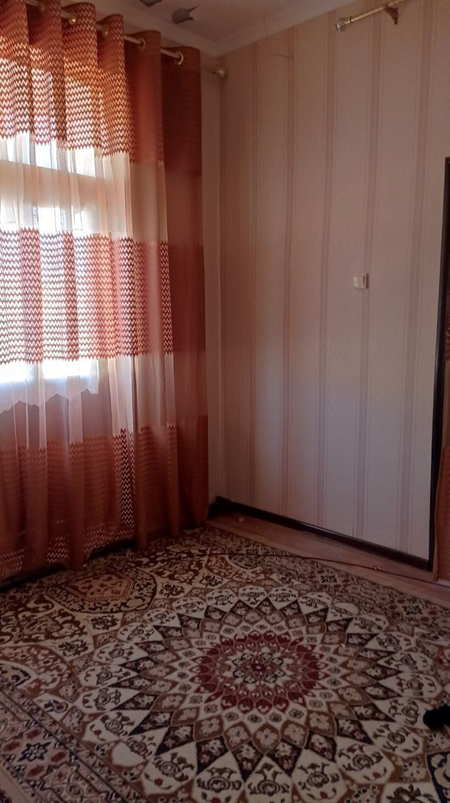 Qiziltepa Kotej sotiladi malikabot 227