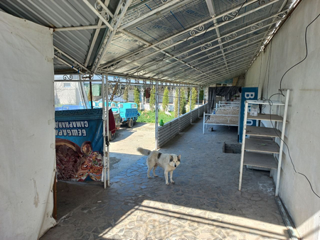 Kafe sotiladi 32 sotix