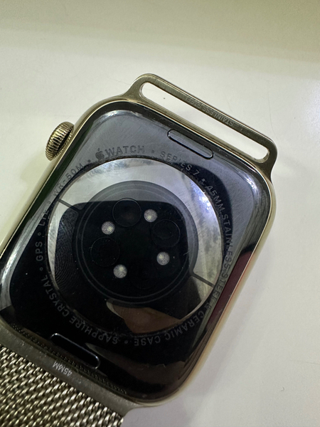 Apple Watch Series 7 Gold Stainless Steel Case