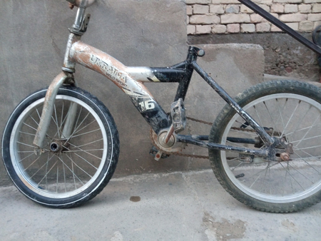 Velosepet 16 razmer rangi qora zor