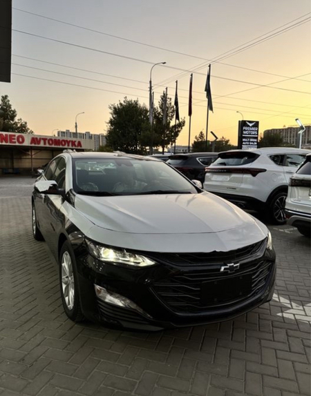 Asalom alekom Vip avto Siz Holagan Moshina bizada bor