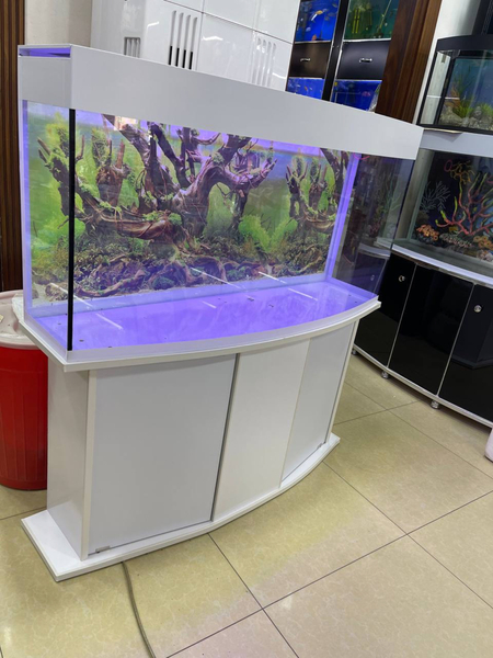 Akvarium 200 litrlik yengi sifat