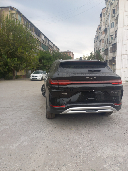 BYD chempion bez probeg