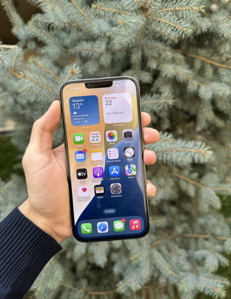 Iphone 13 pro max