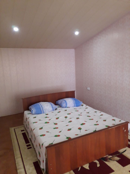 Dacha tog bagrida