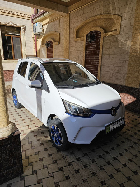Elektron avto mobil