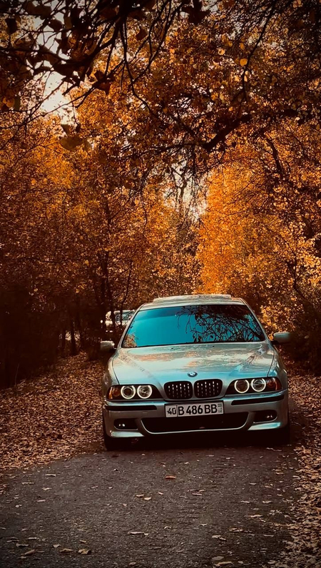 BMW E39 M62TU B44 Benzin/Propan