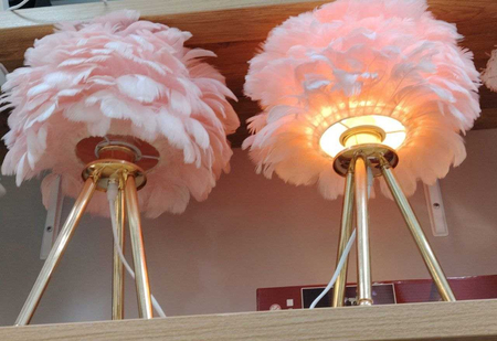 Лампа из птичьего пера. Patli lampa.