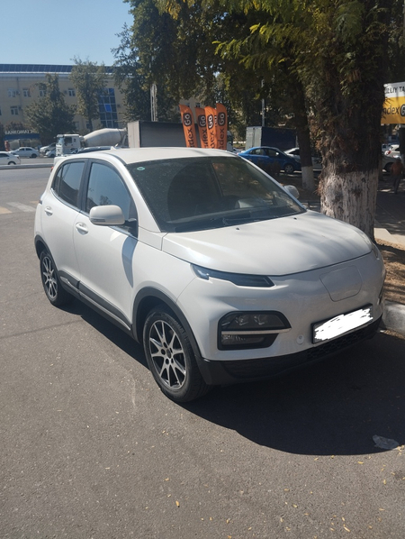 Dayun ES3. Lux 330km