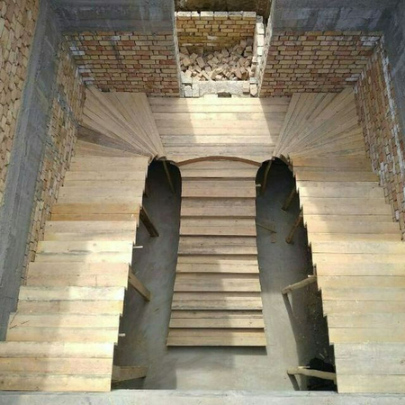 Лестнитса зинапойа