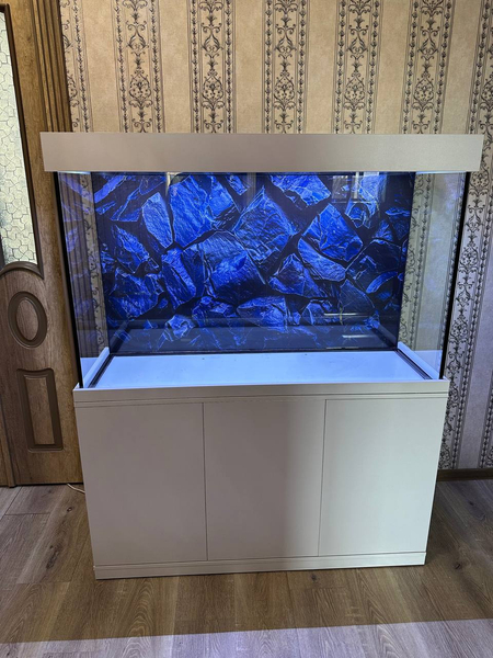 Yengi Akvarium Sotiladi аквариум akvarin