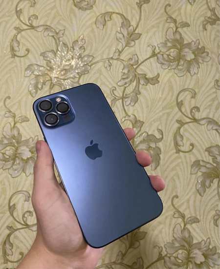 Iphine 12 pro max