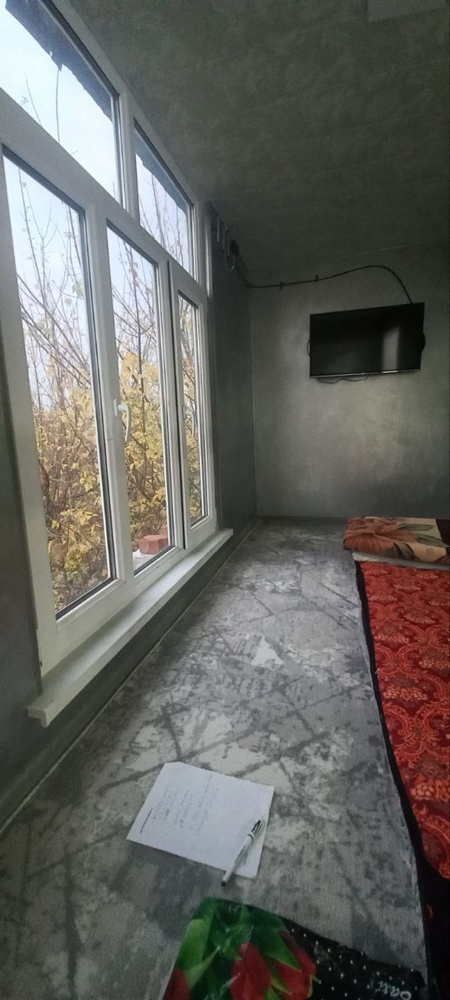 кора камиш 1/3 аренда