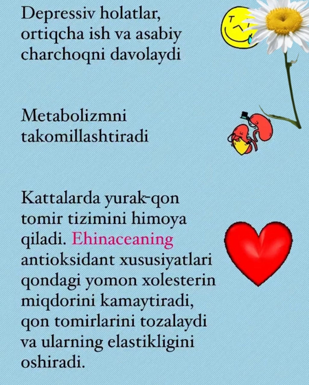 Bolalar Exinatsiyasi. Original 100%