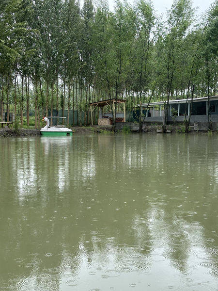 Soy bo'yida Dam olish maskani