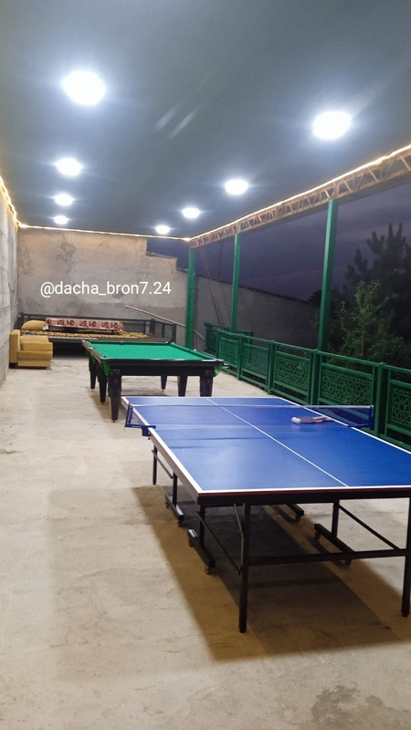 Dacha_Manzara_N6469