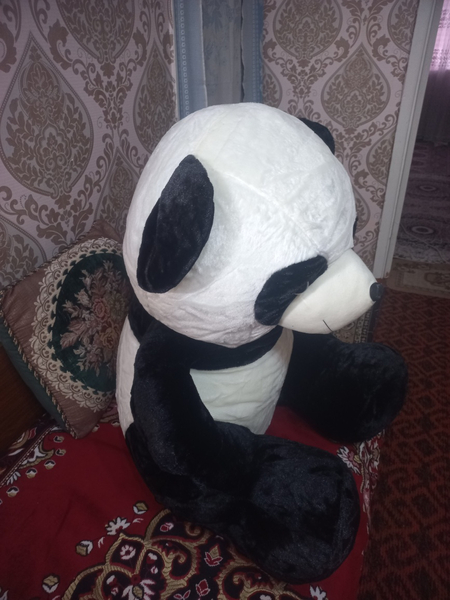 Panda kotta sotiladi yengi