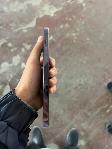 iPhone 14 Pro Max 256 GB Purple