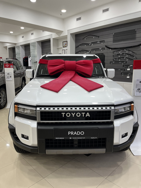 Toyota Land cruiser 250 Prado