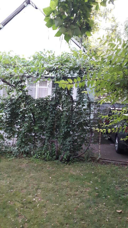 Продается дачный участок 12 соток в Яшнабадаском районе г.Ташкента.