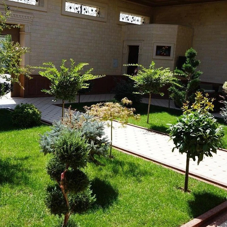 Gazon ekish xizmati yevra gazon tayyor rulon  ekamiz yevro uruglar