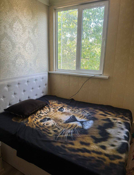 Ц17.  Себзар  .1в2/3/4.  кирпич ( мебель + техника )