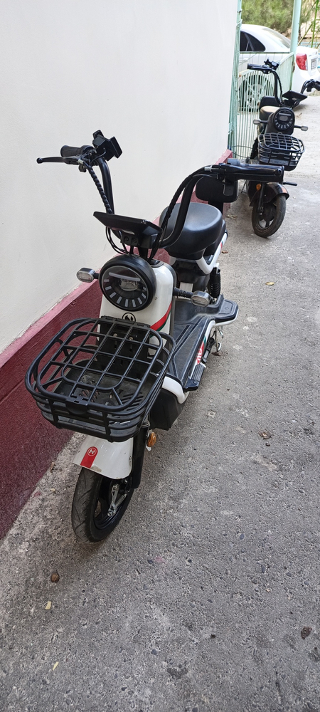 Bongo modeli.Made in china