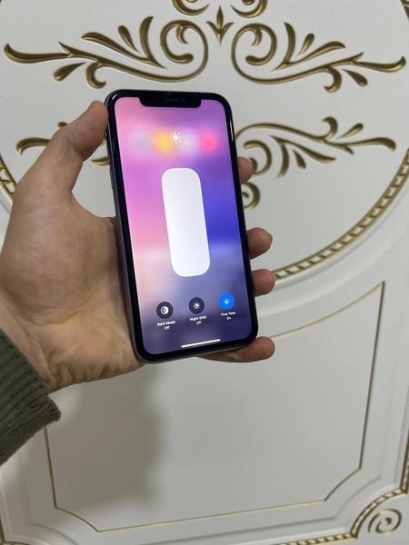iphone 11 ideal rodnoy