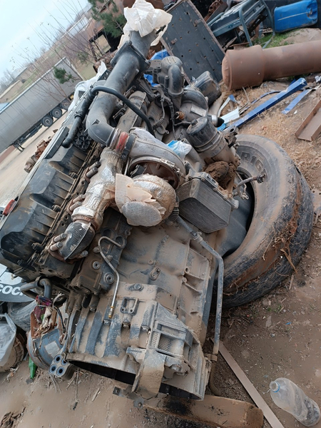 Mator bag xolati yaxshi