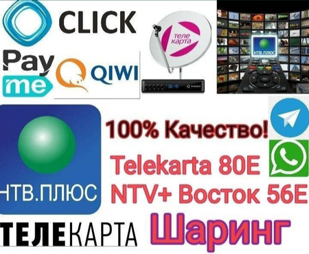 Возможность просмотра закодированных
платных спутниковых каналов