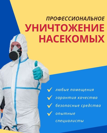 Профессиональная Дезинфекция, Дезинсекция и Дератизация.