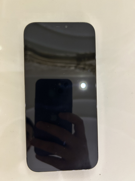Iphone 12 pro max Pacific Blue