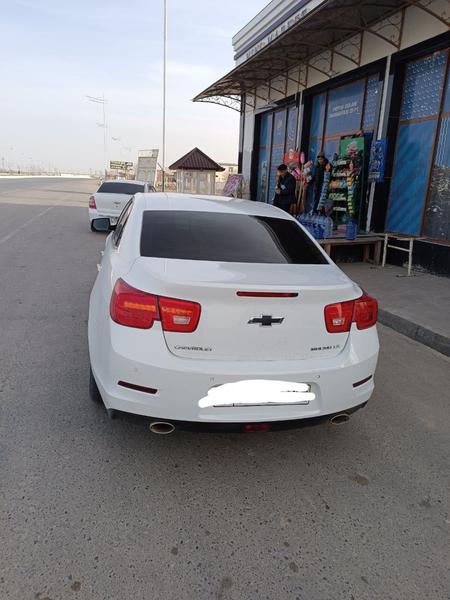 Malibu 1.1 pozitsiya
