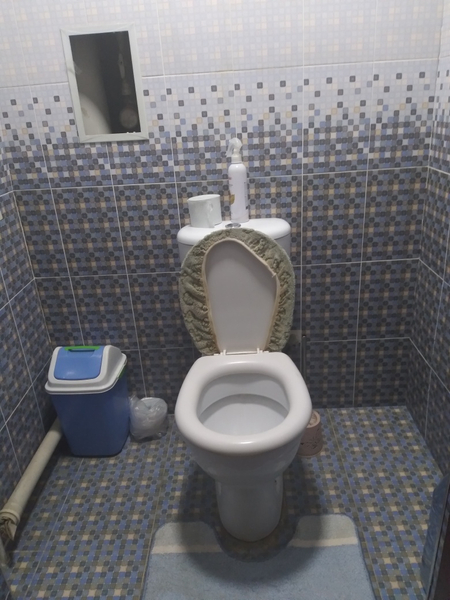 mehmon oilalar va turistlar, musofirlar